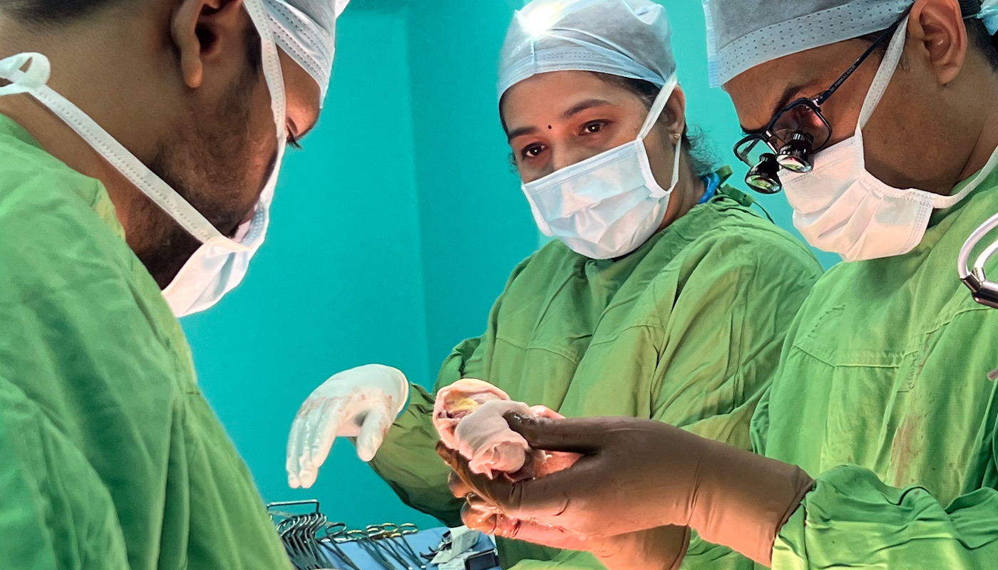 Kidney Transplantation - Dr Pankaj Gaur Urologist